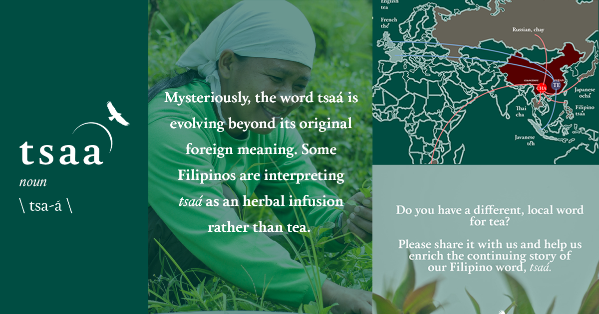 Tsaa: A Word's Tale – Tsaa Laya